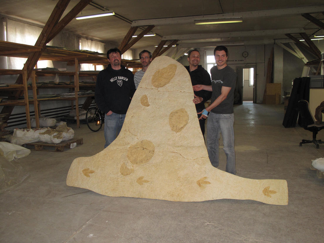 Dinosaurierspuren von courtedoux in der normandie ! | Jurassica Museum